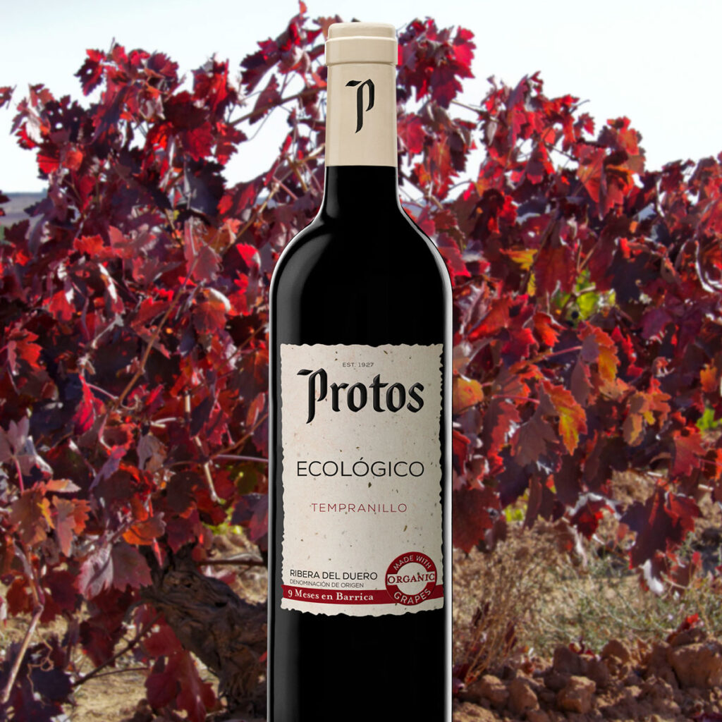 Maridajes con legumbres - Bodegas Protos